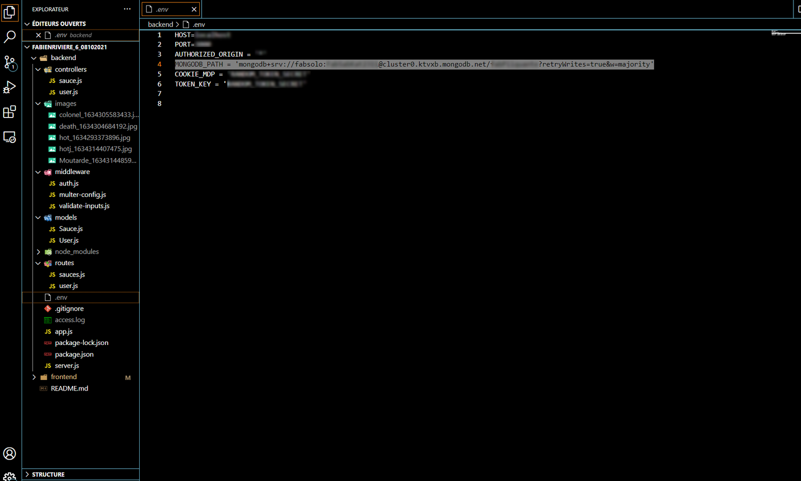 Création base de données MongoDB et connexion avec une API Node.js, Express - Activateur Web
